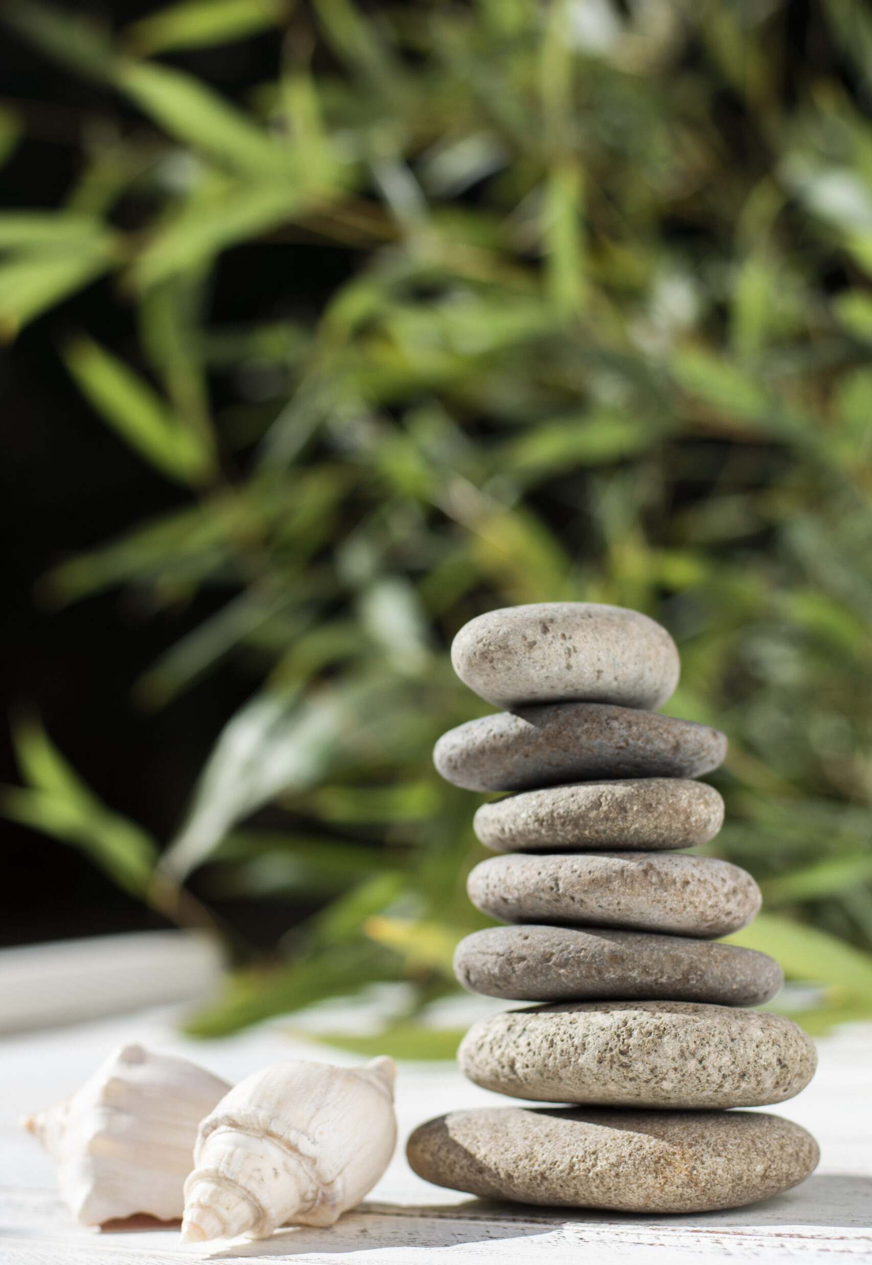 STONE AND ROCK DEALERS